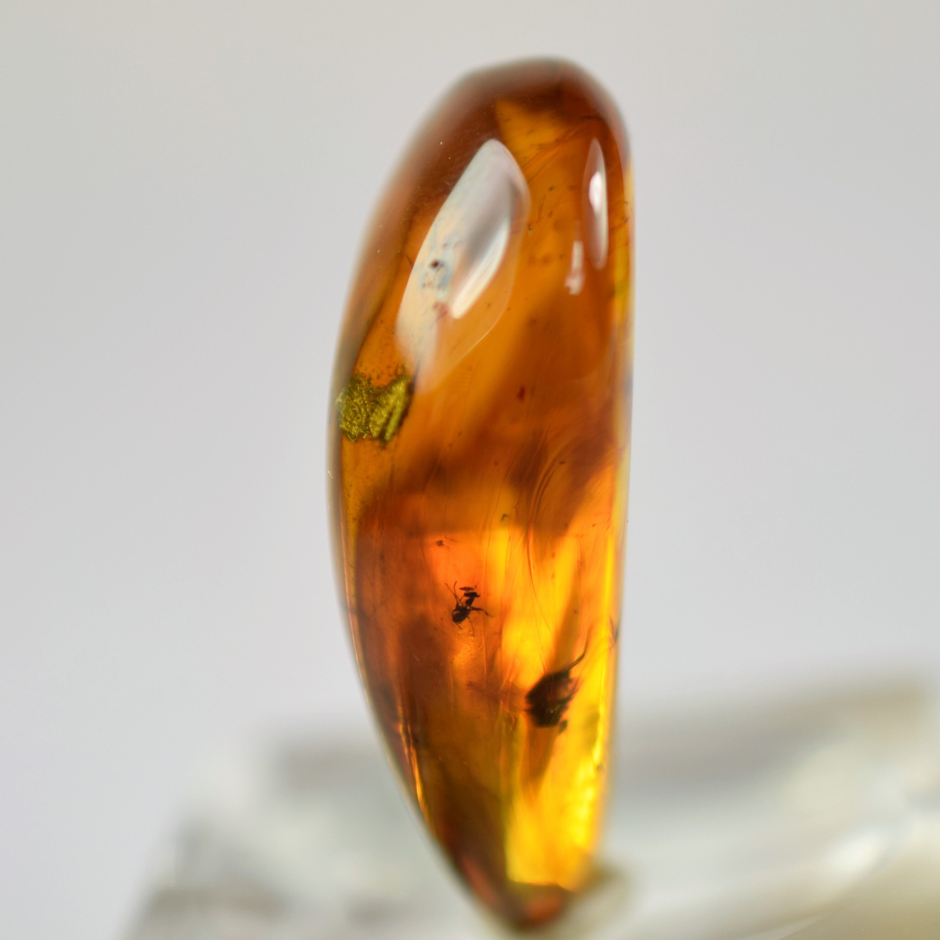 Amber with insects Amber fossilized amber inclusions Amber | Etsy