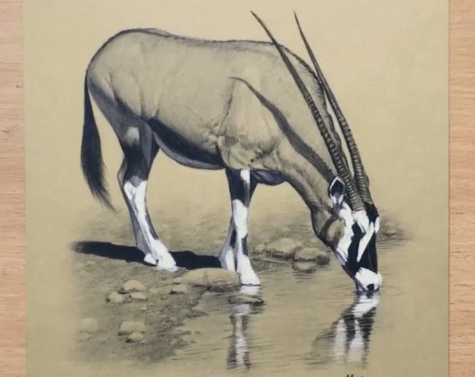 Oryx Antelope Drawing Original Pencil Artwork African Nature Animal ...