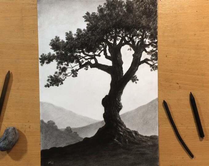 Gnarly Tree Charcoal Drawing Landscape Art Original Artwork - Etsy