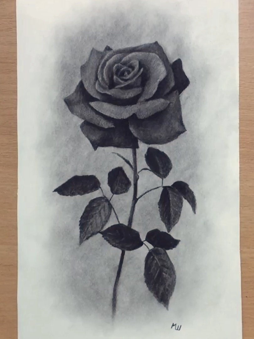 Pretty Drawings Of Roses