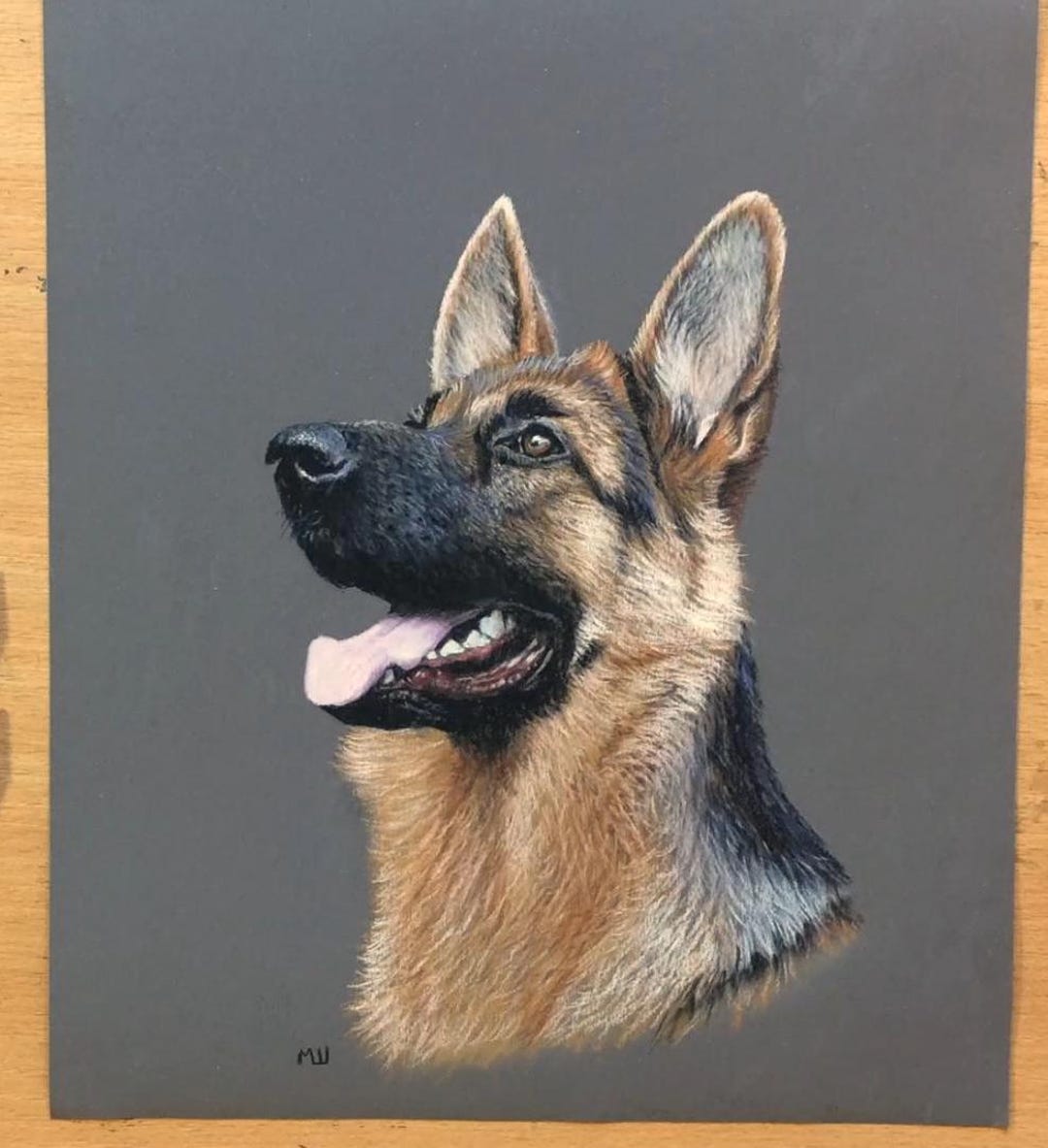 German Shepherd Original Drawing Colored Pencil Artwork Dogs Art - Etsy