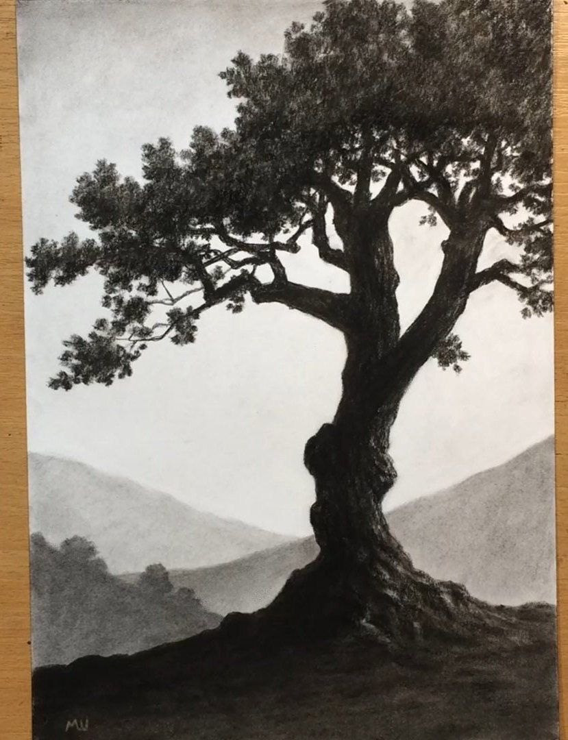 Gnarly Tree Charcoal Drawing Landscape Art Original Artwork - Etsy
