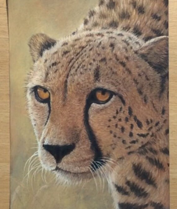 Colored Cheetah Drawing