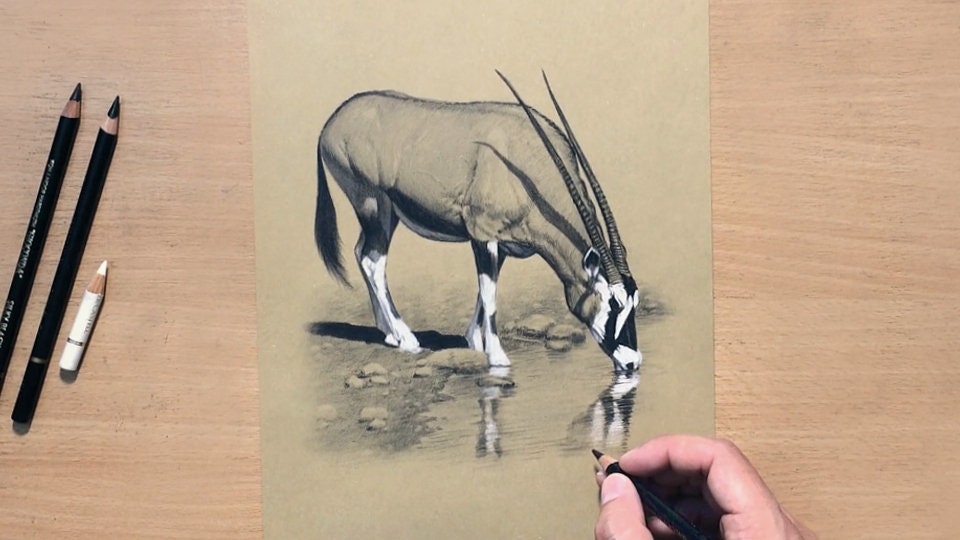 Oryx Antelope Drawing Original Pencil Artwork African Nature - Etsy