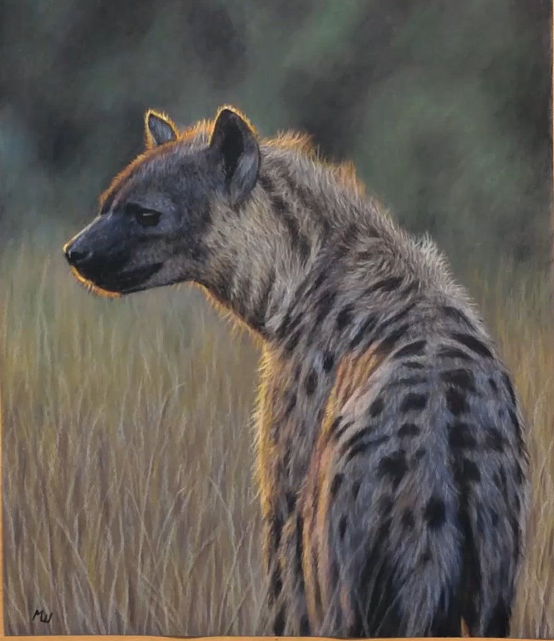 Hyena Drawing Original Colored Pencil Artwork Wildlife Art - Etsy