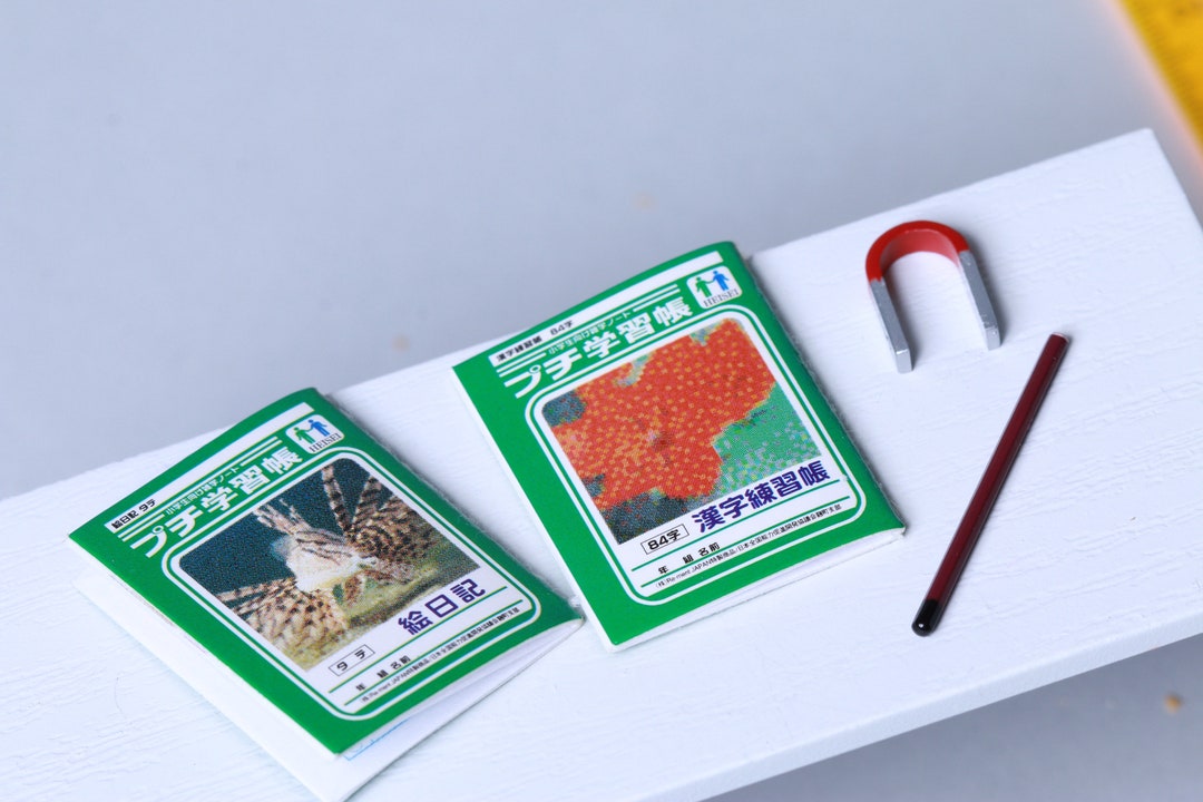 Miniature Dollhouse Science Doctor Books Dollhouse Miniature Magnet - Etsy