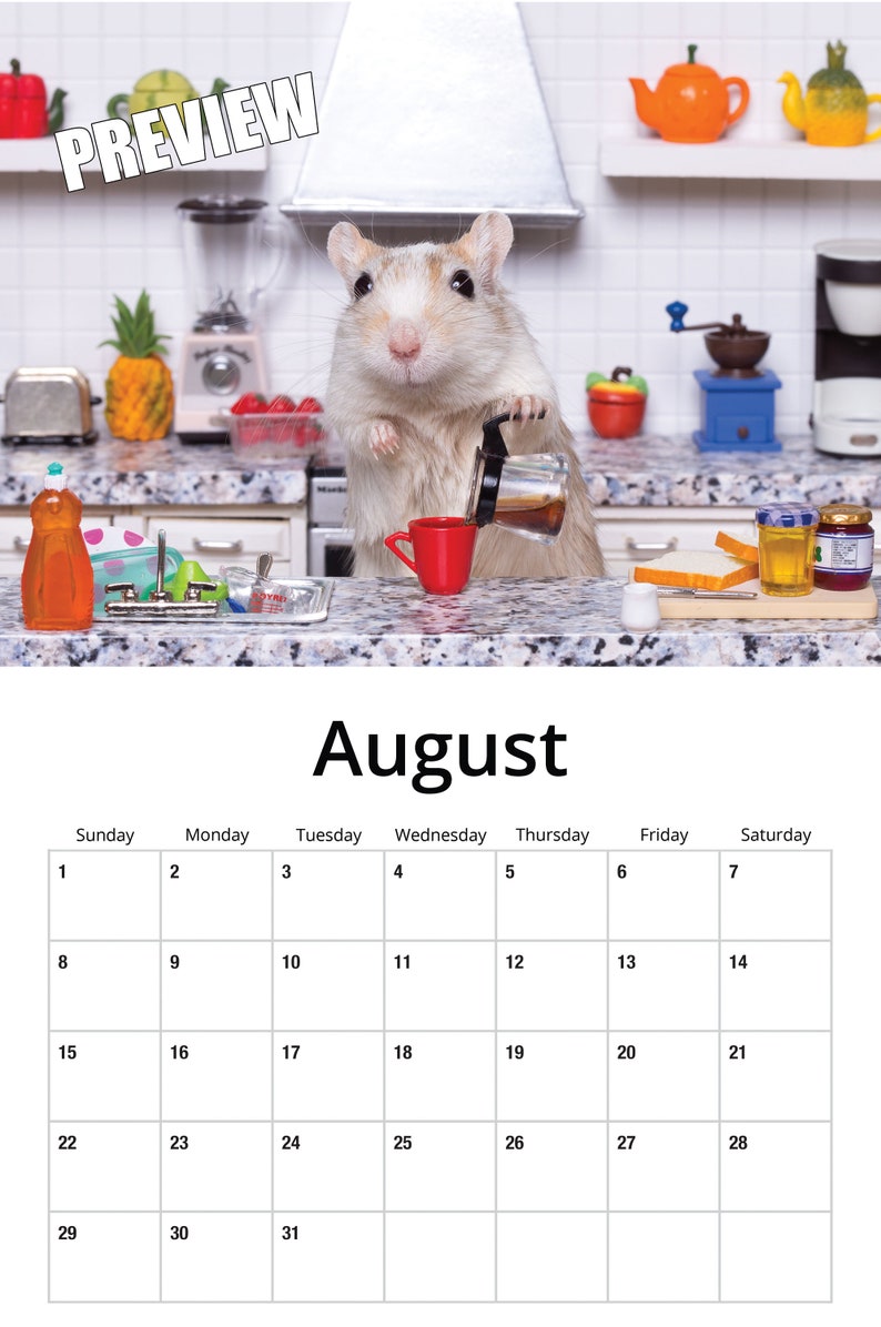 2021 Wall Calendar by Gerbil Meets Mouse Publishing | Rodent Miniatures ...