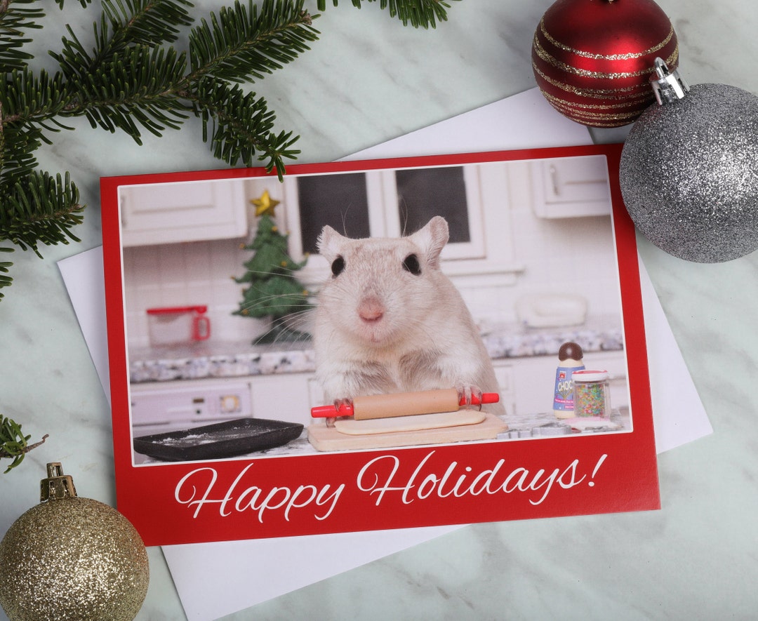 Gerbil Christmas Greeting Card Dollhouse Miniature Re-ment Rement Pet ...