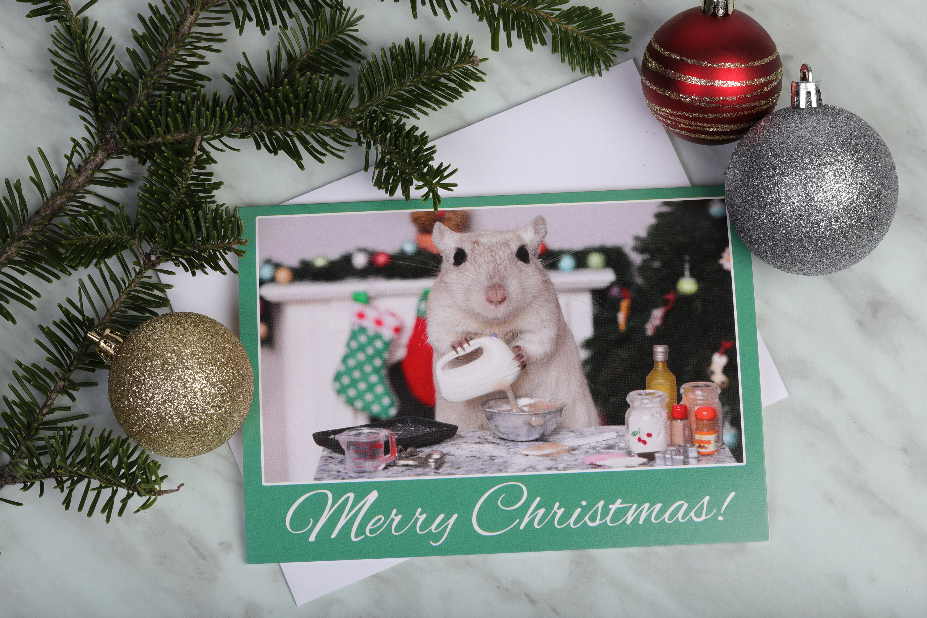 Gerbil Christmas Greeting Card Dollhouse Miniature Re-ment Rement Pet ...
