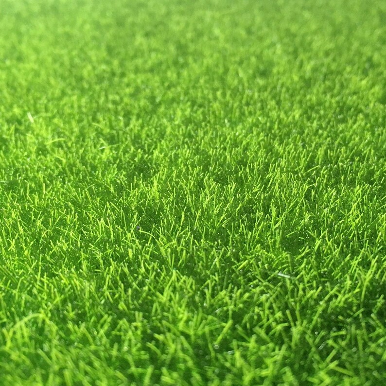 1:12 Scale Dollhouse Miniature Grass Lawn Outdoor Yard Patio Summer - Etsy