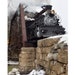 Tefft Bridge Express - Durango & Silverton Railroad Steam Celebrates ...