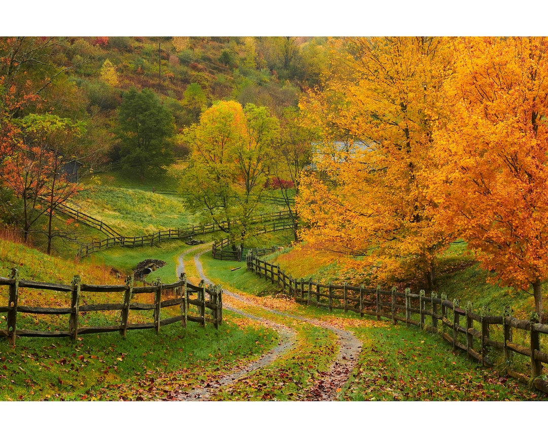 Cheat River Hollow - West Virginia Canaan Valley Davis Blackwater ...