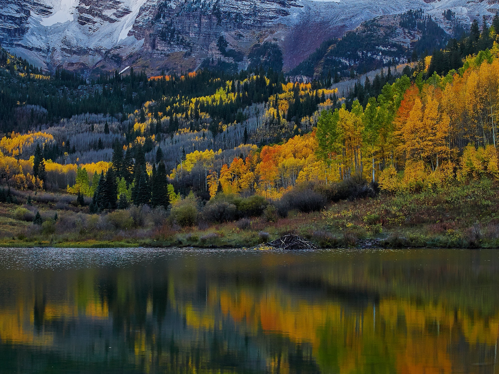 First Snow on the Bells - Colorado Aspens Mountain Fall Landscape - Etsy