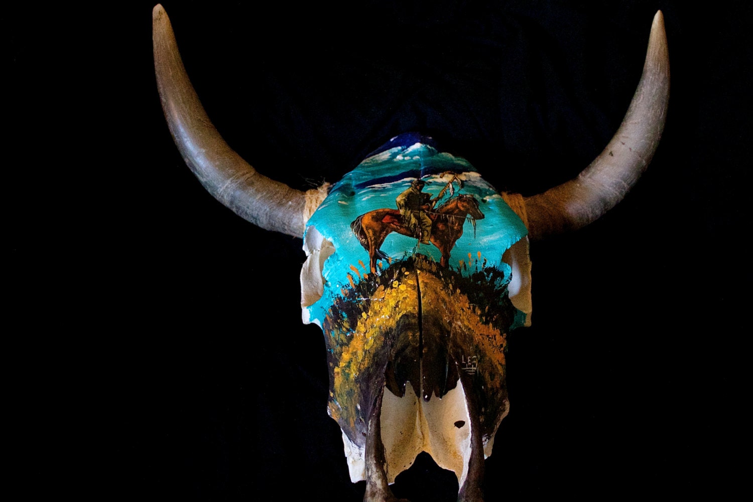 Painted Bull Skull - Etsy