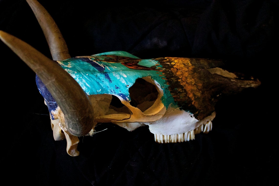 Painted Bull Skull - Etsy