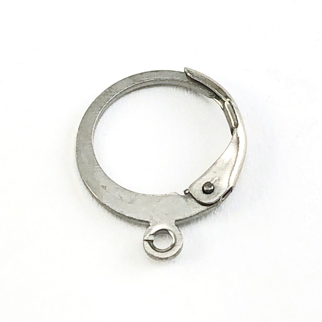20 Pack Stainless Steel Earring Hoops With Lever Back and Loop Findings ...