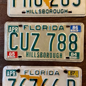 Florida- Hillsborough License Plates 1980’s - Etsy