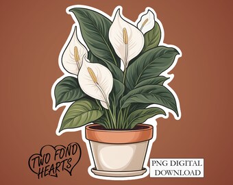 Monstera Sticker Design, Instant Digital Download PNG, for Print and ...