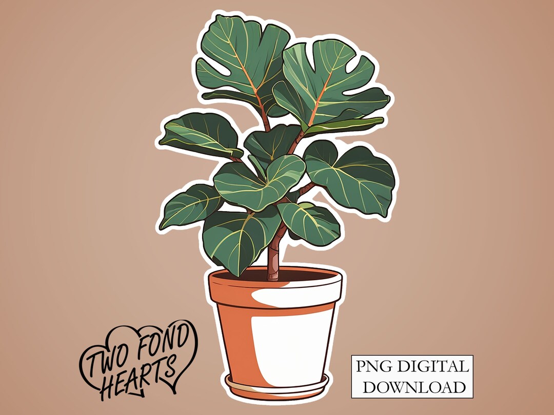 Fiddle Leaf Fig Sticker Design, Instant Digital Download PNG, for Print ...