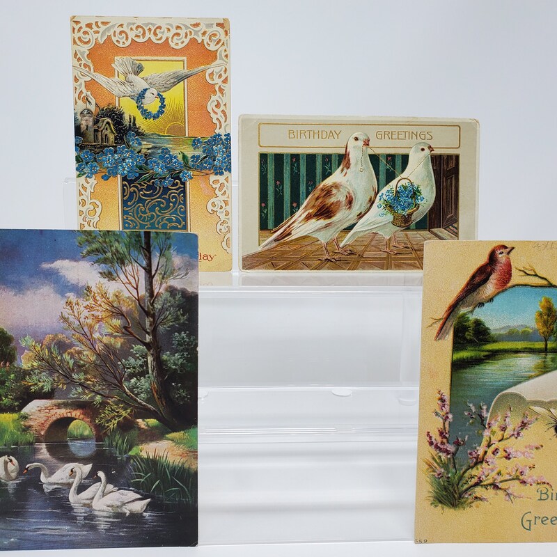Bird Postcards - Etsy