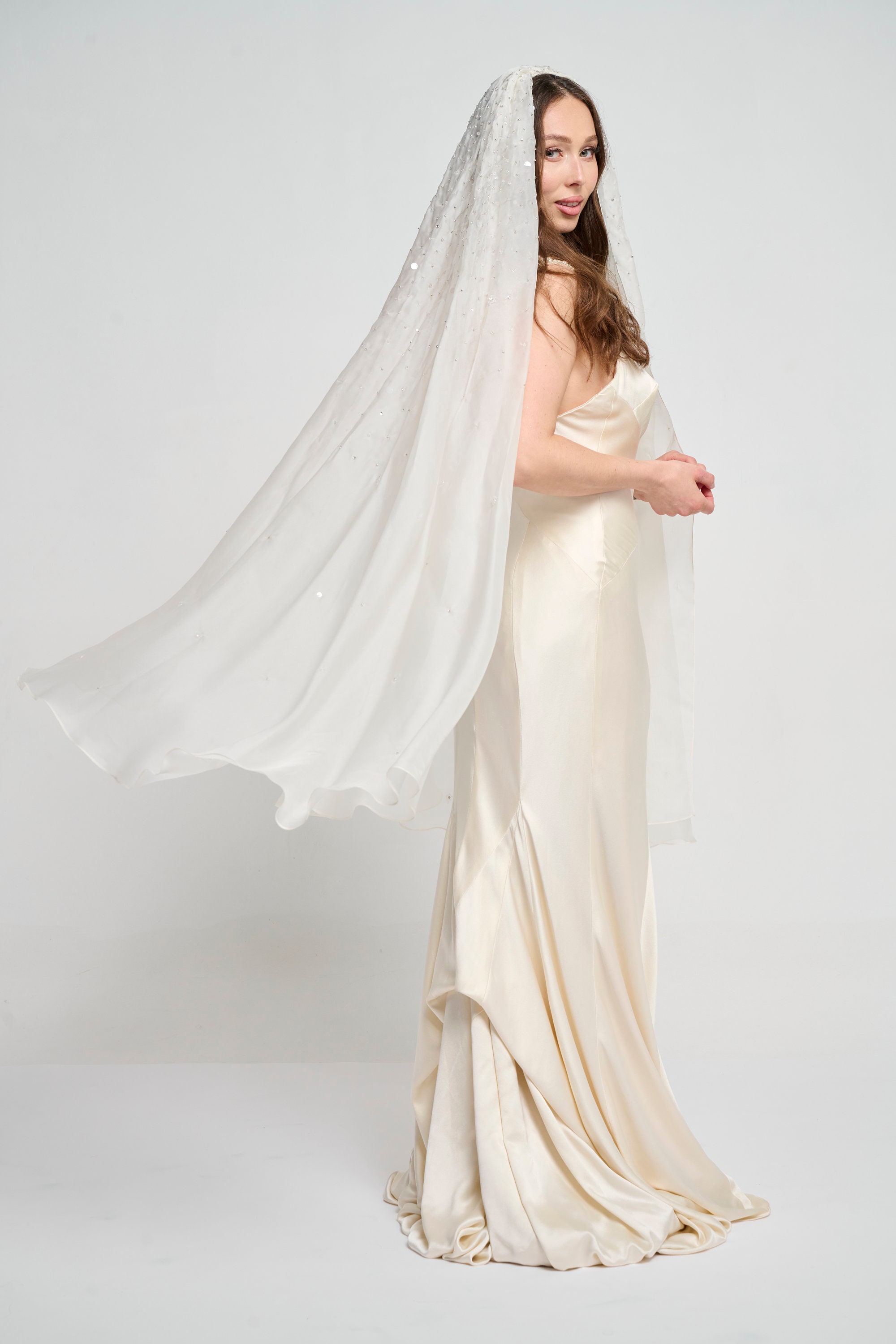 Beaded Ballet Wedding Veil for Bride, Embroidered Crystal Veil, Waltz ...