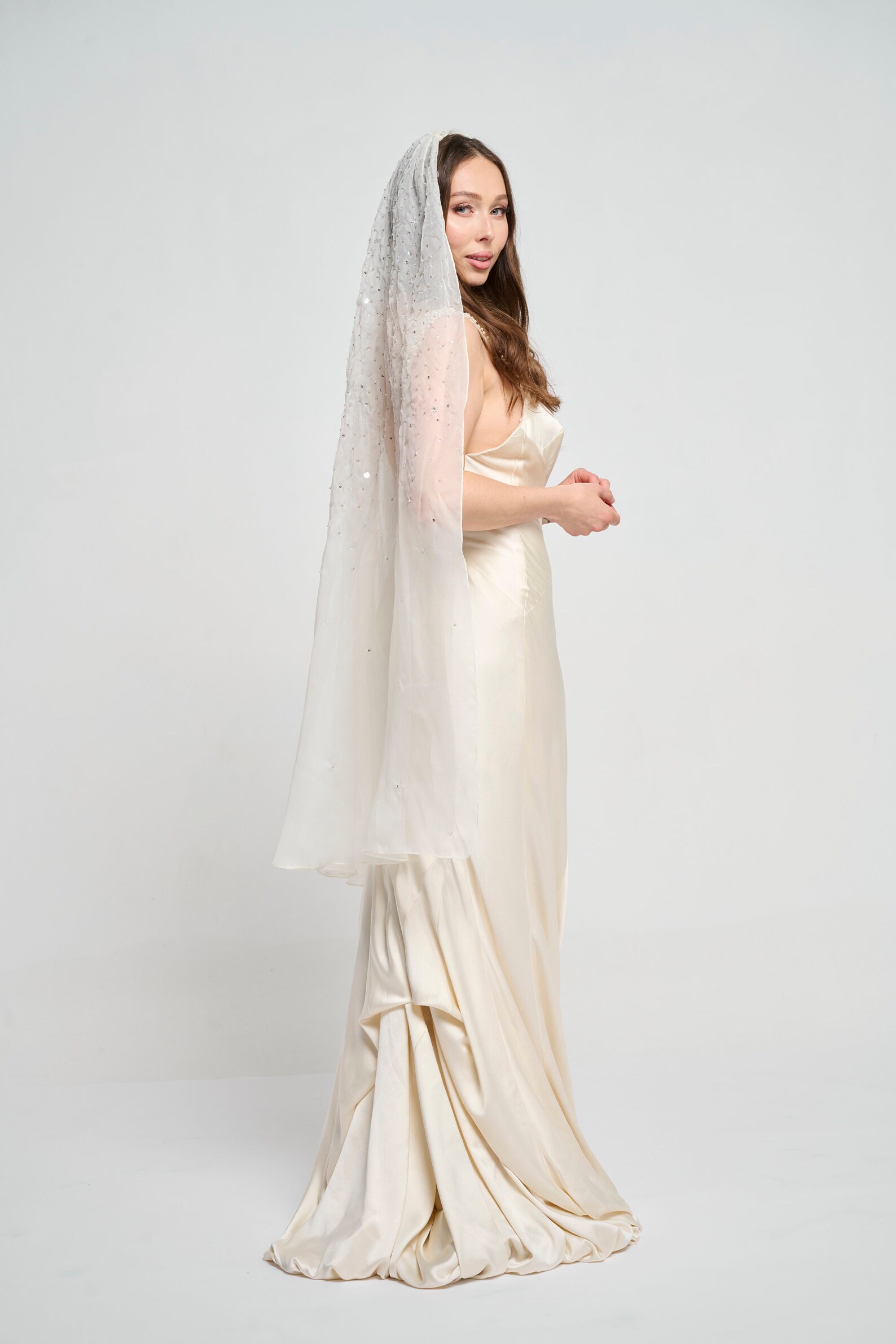 Bridal Ballet Crystal Wedding Veil, Ballet Beaded Sparkly Veil ...