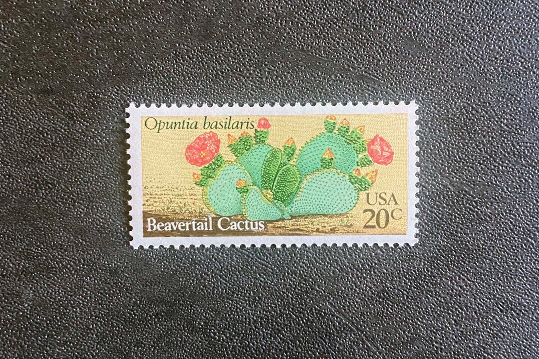 Vintage Postage Stamps | "desert Plants: Barrel Cactus" | Green Brown ...