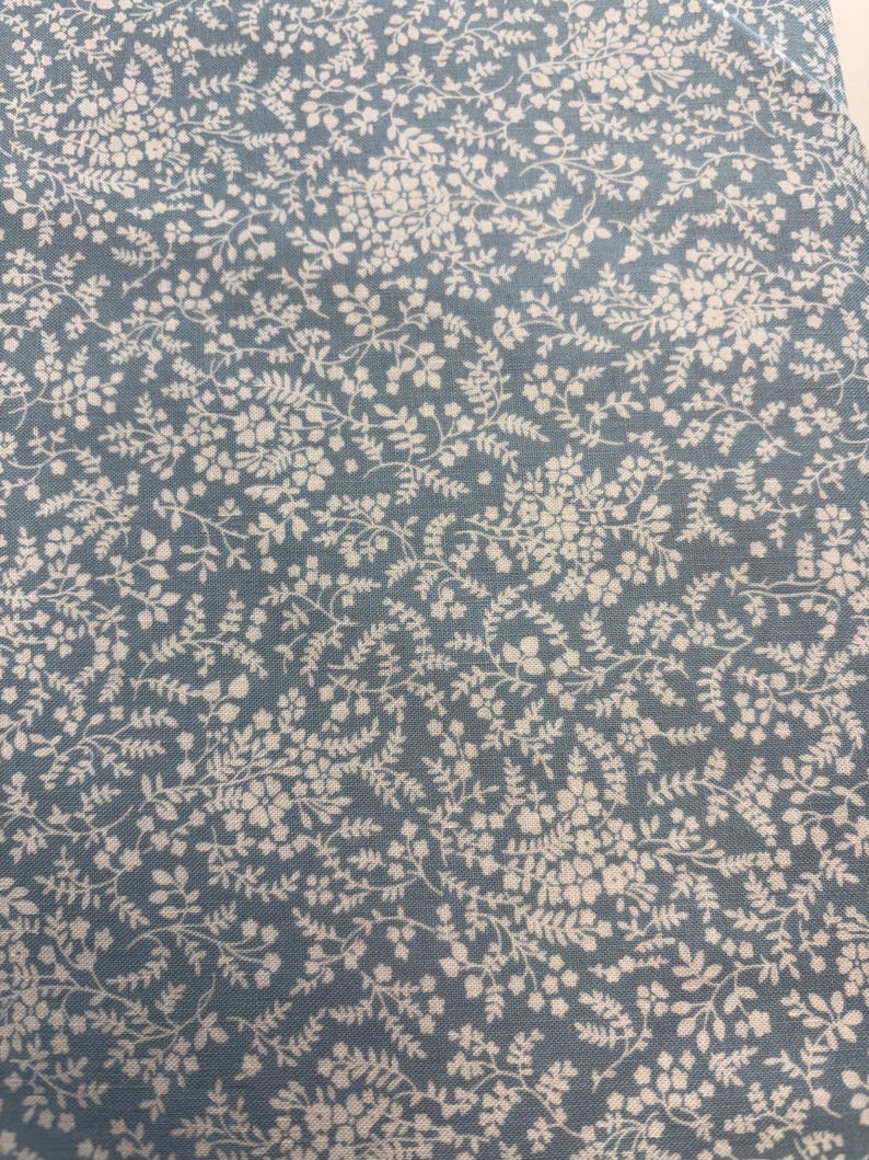 Shoreline by Camille Roskelley From Moda Fabric. Light Blue Background ...