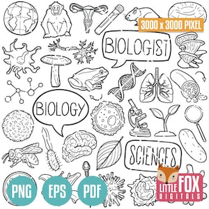 NATURAL SCIENCE Bundle. Earth Sciences Doodle Icons. Scientist Clip Art ...