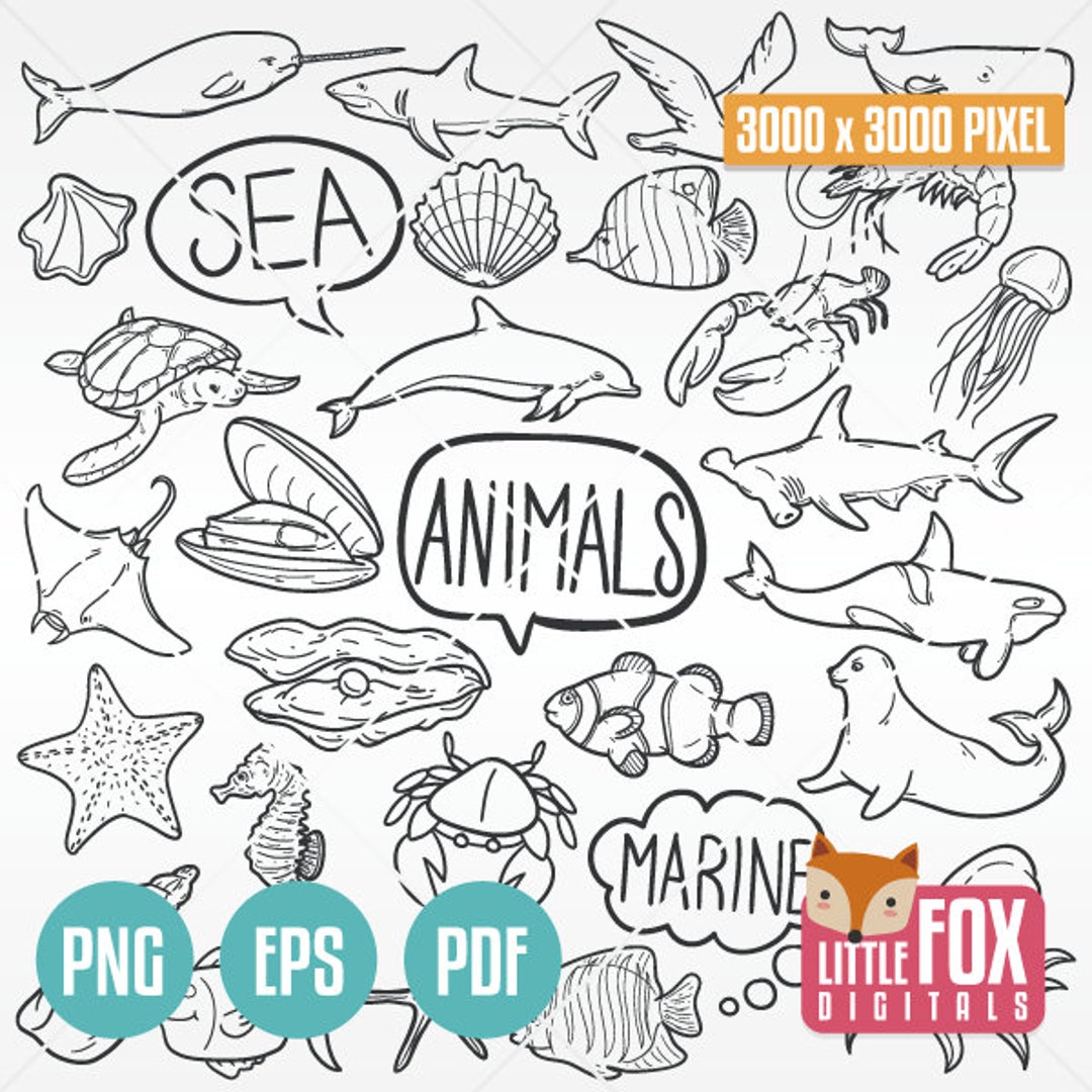 Marine Animals Doodle Clipart: Ocean Fauna Vector Art (digital Download ...