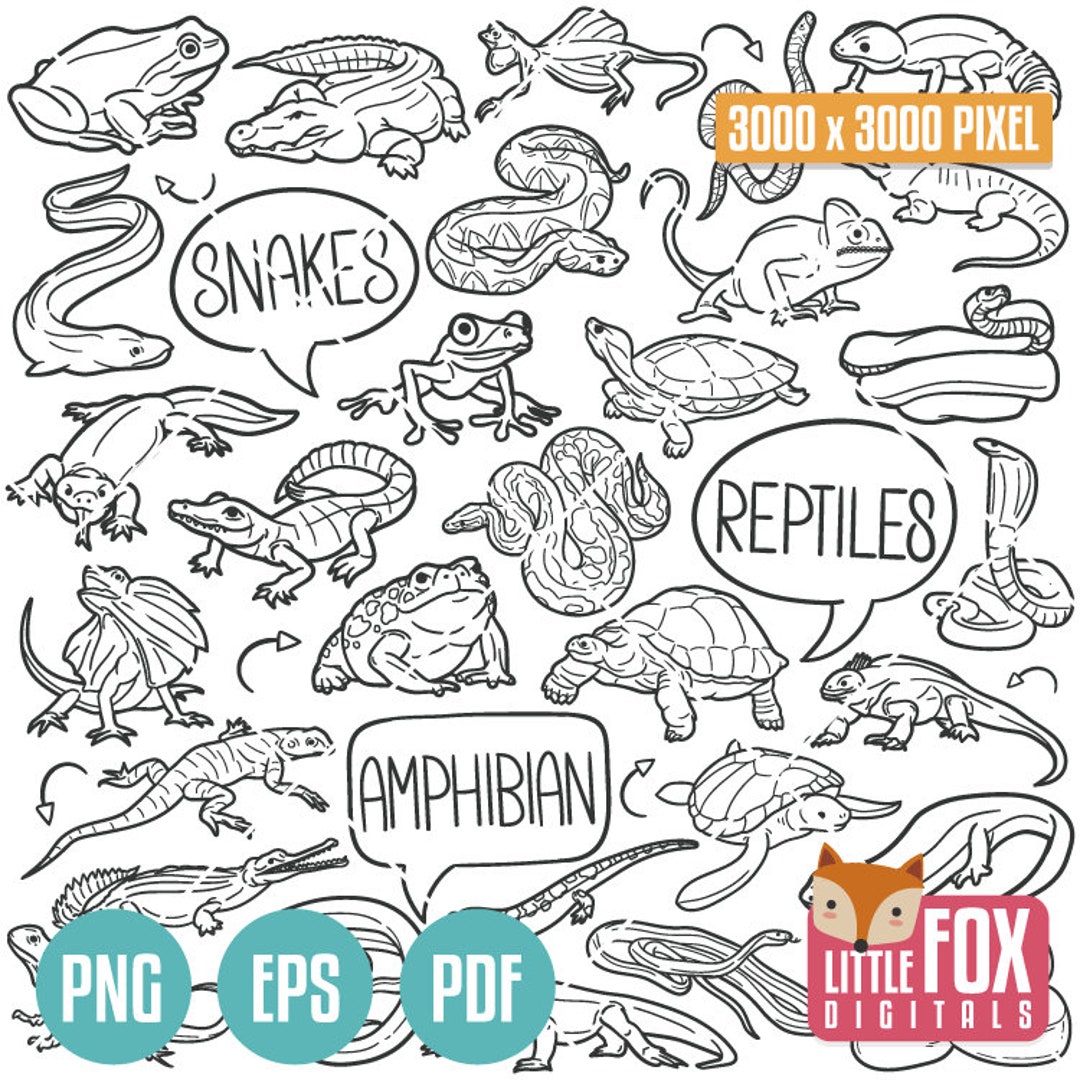 REPTILE Doodles, Animal Doodle. Amphibian Icons Clipart Scrapbook Set ...