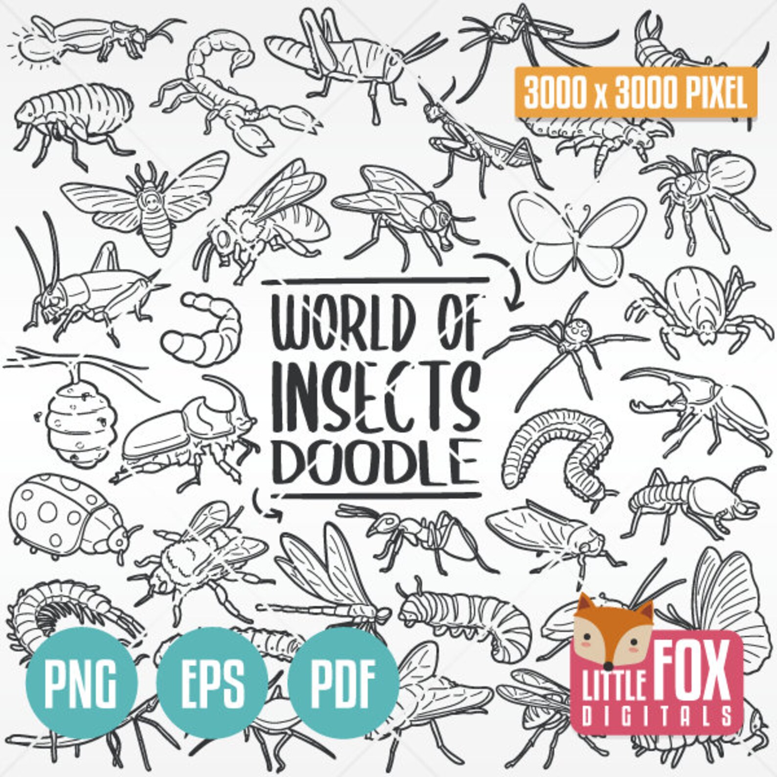 WORLD of INSECTS Animal Doodle. Insects Icons Clipart - Etsy