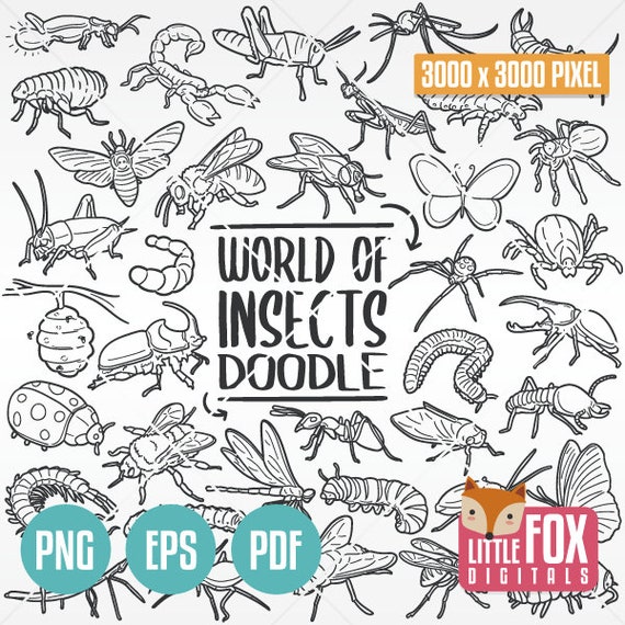 WORLD of INSECTS Animal Doodle. Insects Icons Clipart - Etsy
