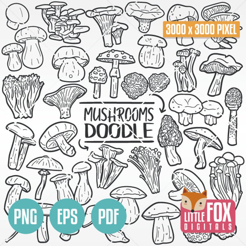 MUSHROOMS and FUNGI Doodle. Nature Woodland Icons Clipart Scrapbook ...