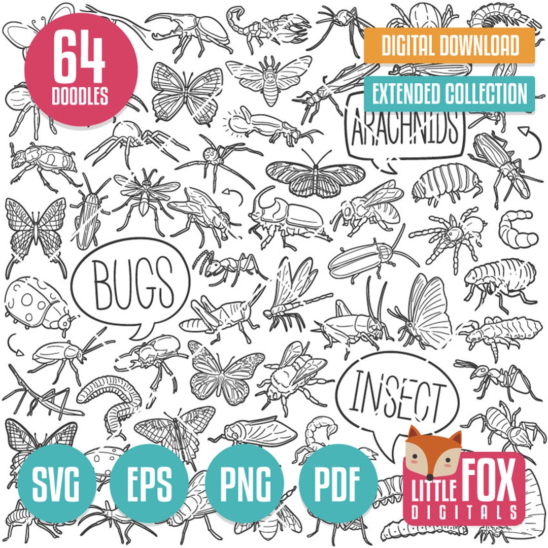 INSECTS, SVG Doodle Vector Icons. Insect Bug Bettle Animals Doodle ...