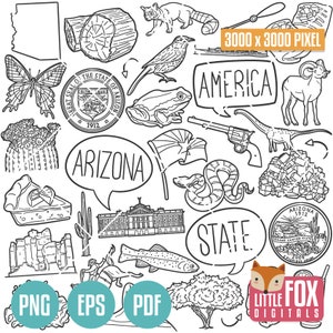 ARIZONA State Symbols. American State Clipart. Arizona America, Usa ...