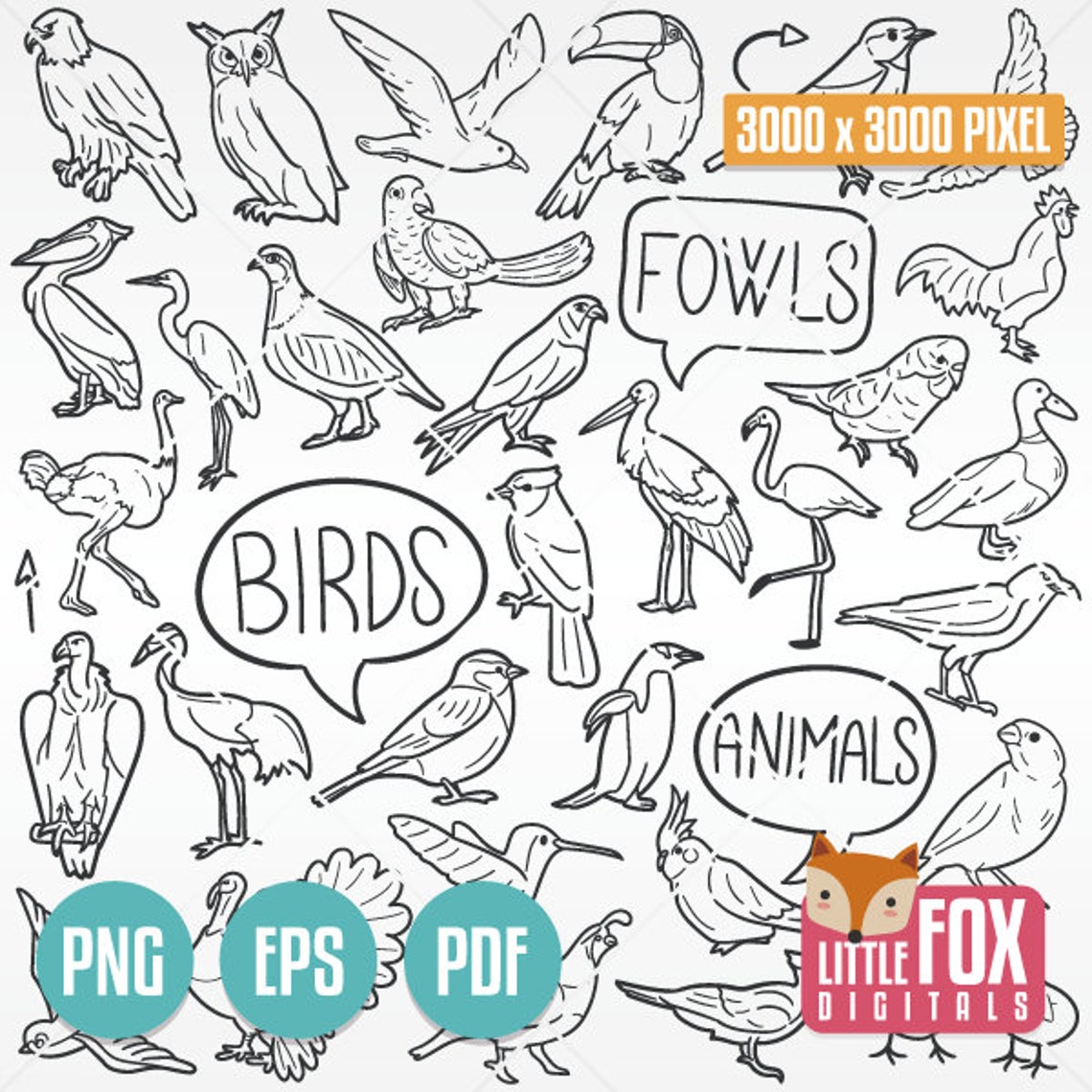 ANIMAL Bundle. Domestic Wild Doodle Icons. Pets Clip Art Doodle ...