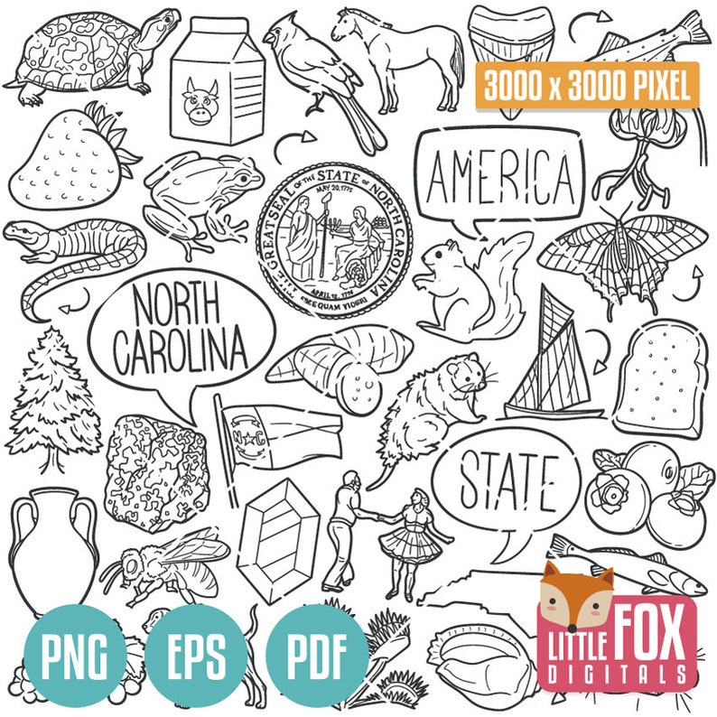 North Carolina State Symbols. American State Clipart. NC - Etsy