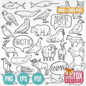 ANIMAL Bundle. Domestic Wild Doodle Icons. Pets Clip Art Doodle ...
