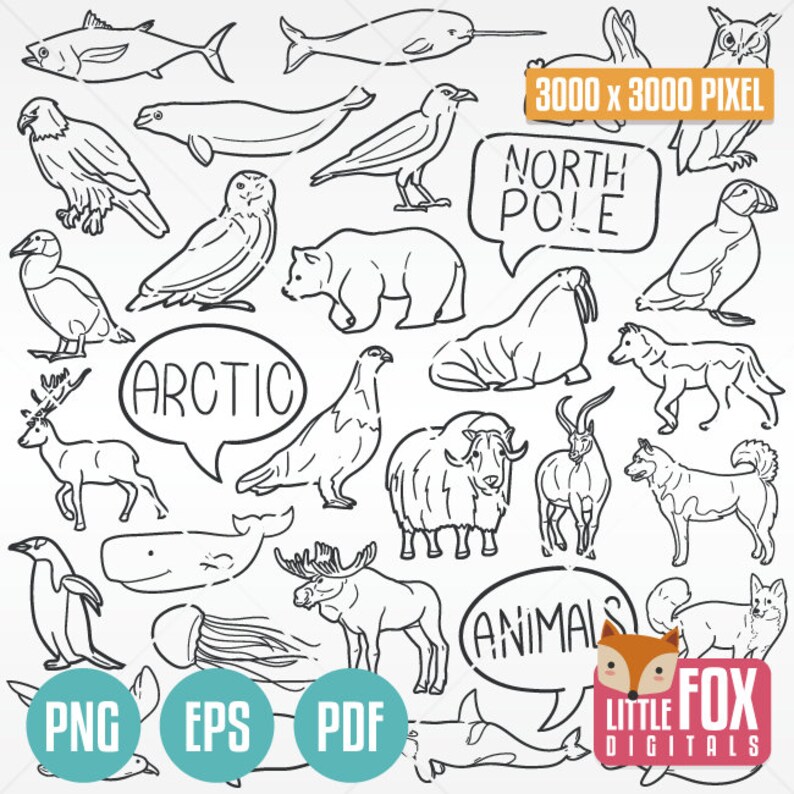 ANIMAL Bundle. Domestic Wild Doodle Icons. Pets Clip Art - Etsy