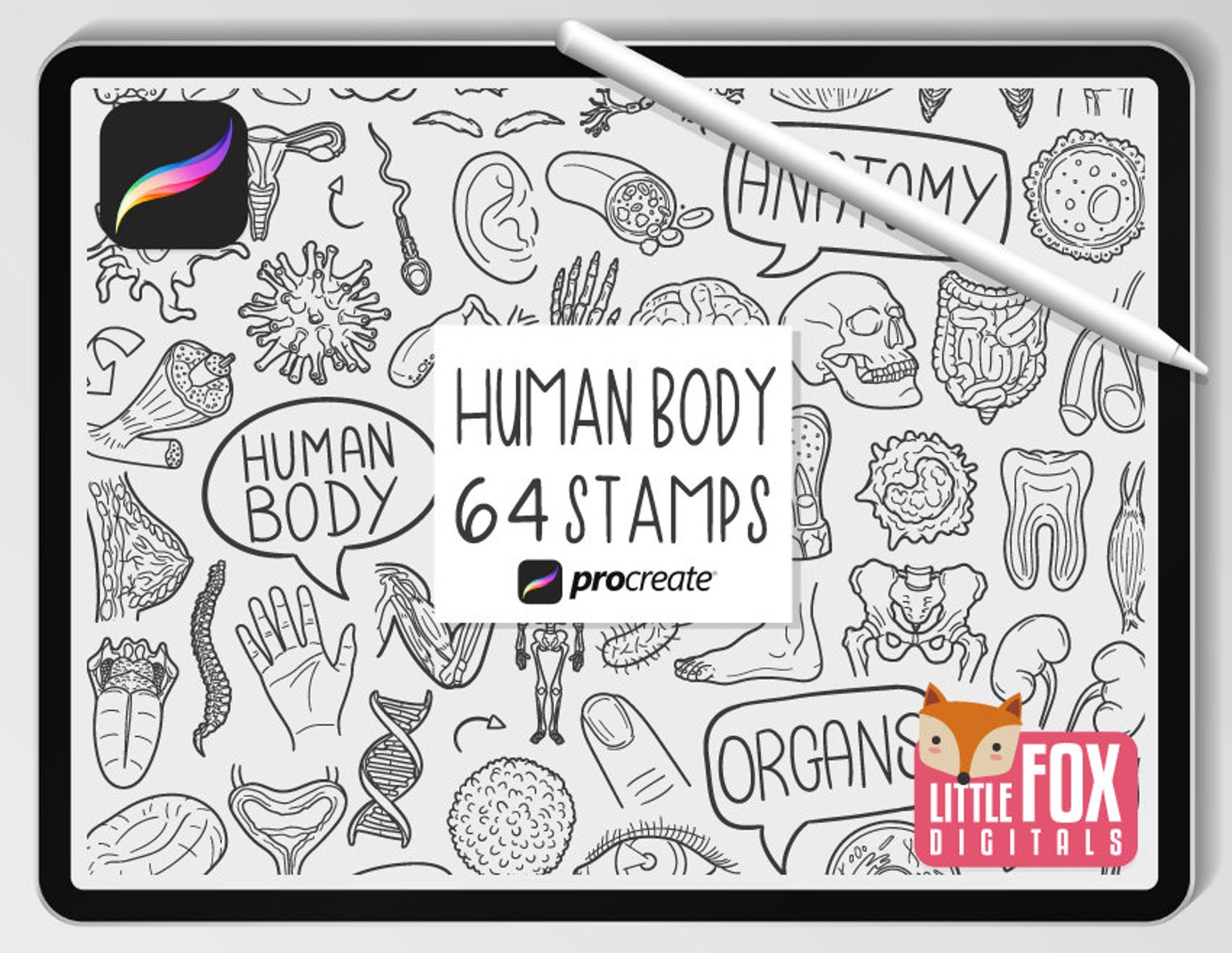 HUMAN BODY STAMPS, Procreate Brushes, Anatomy Icons, Body Parts Bundle ...