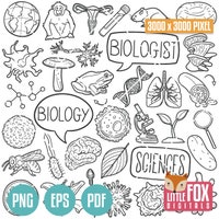 Cell Division Mitosis Clip Art Digital Download, Cute Biology Clip Art ...