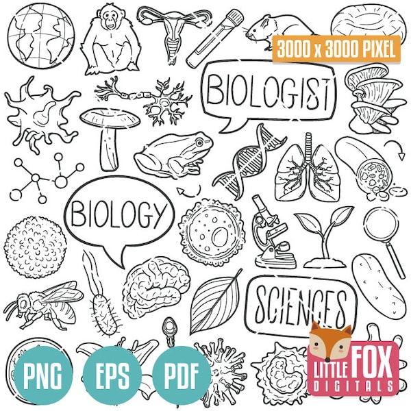 Biology Line Art - Etsy