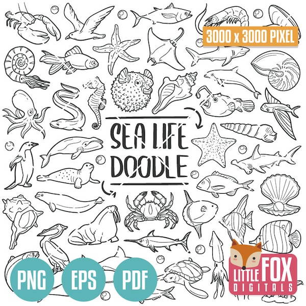 Sea Life Drawing - Etsy