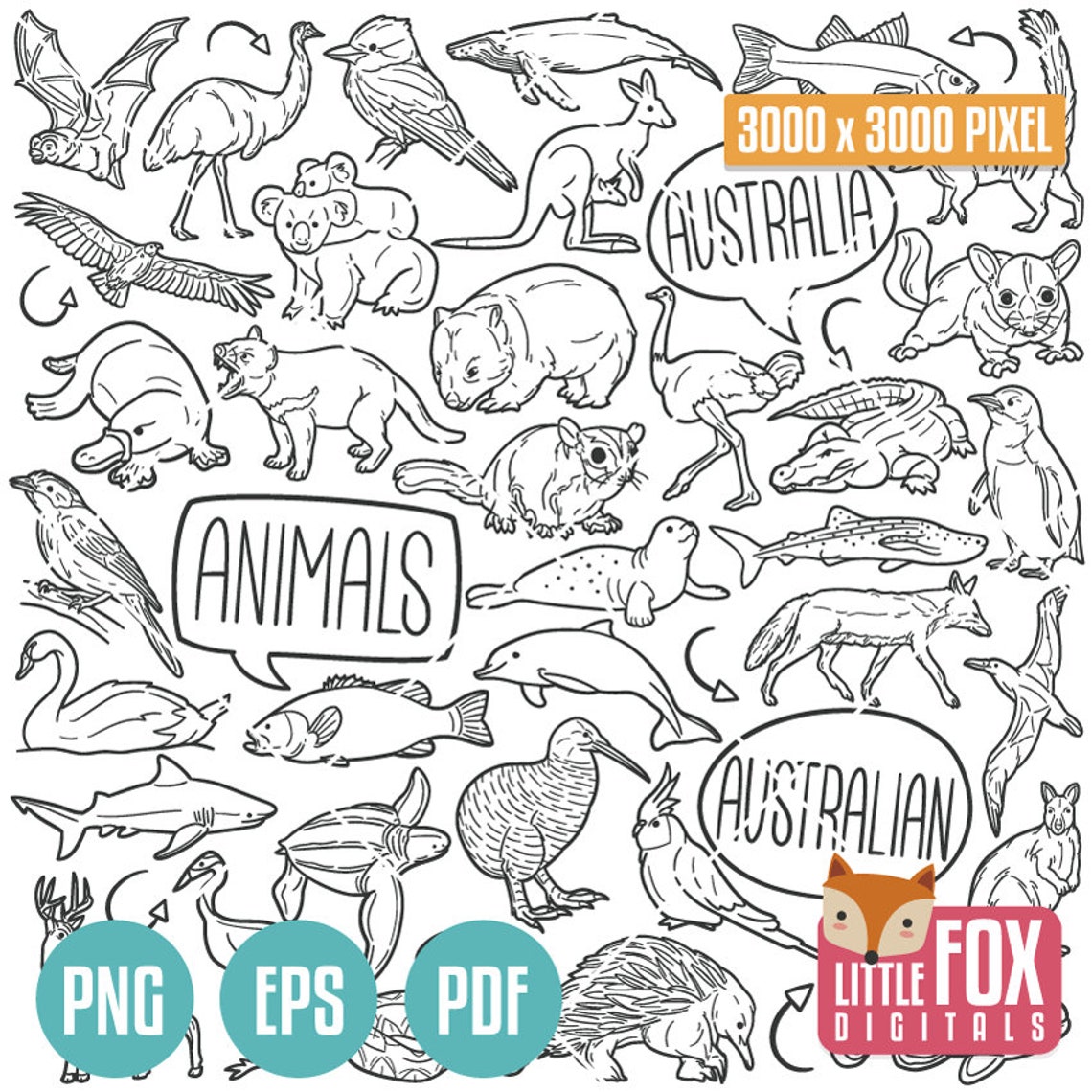 Australia Animals, Australian Creatures, Doodle Icons, Oceania Fauna ...