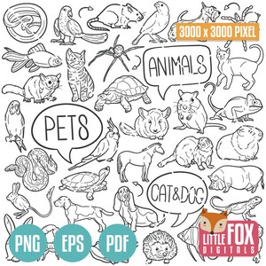 ANIMAL Bundle. Domestic Wild Doodle Icons. Pets Clip Art Doodle ...