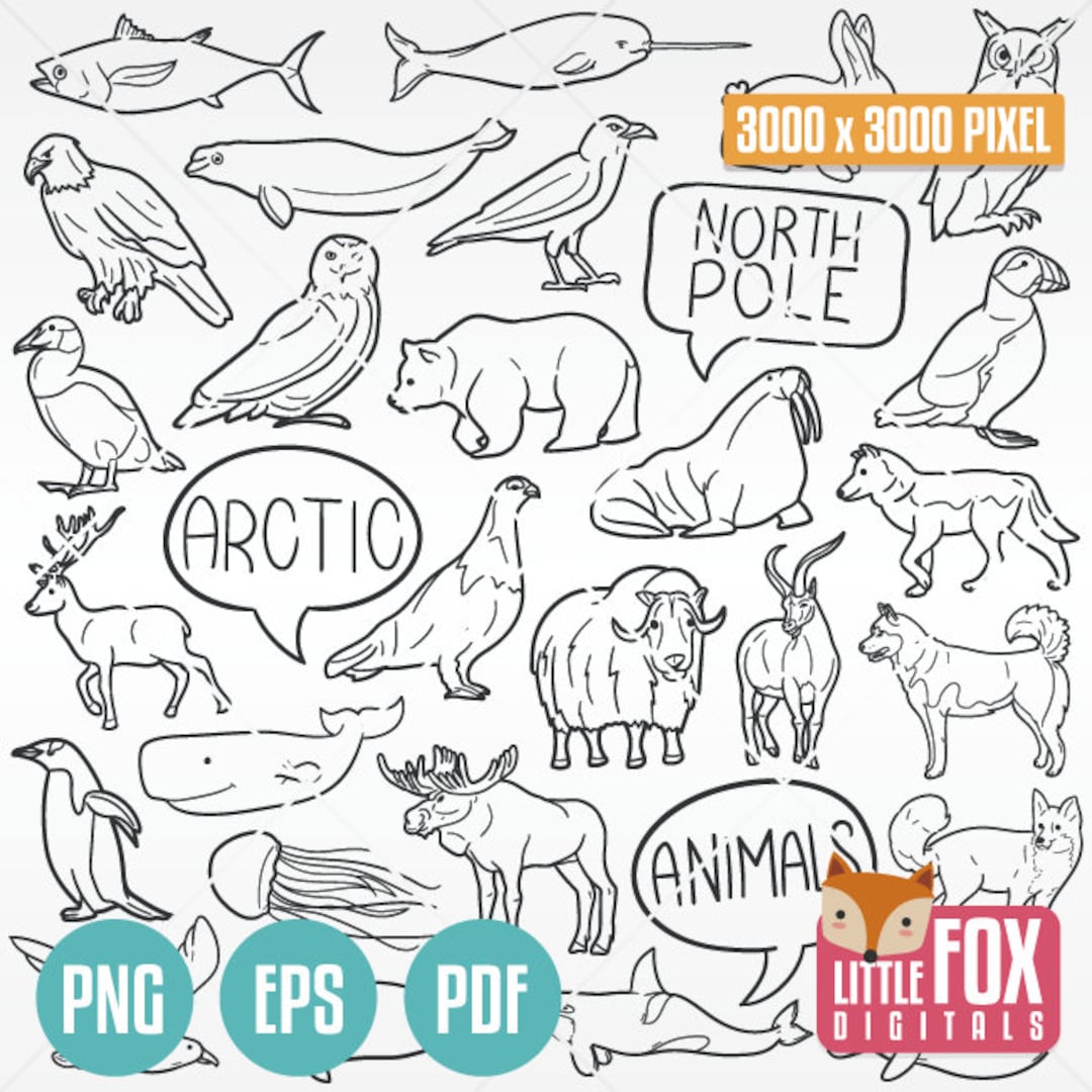 Arctic Animals Black And White Clipart
