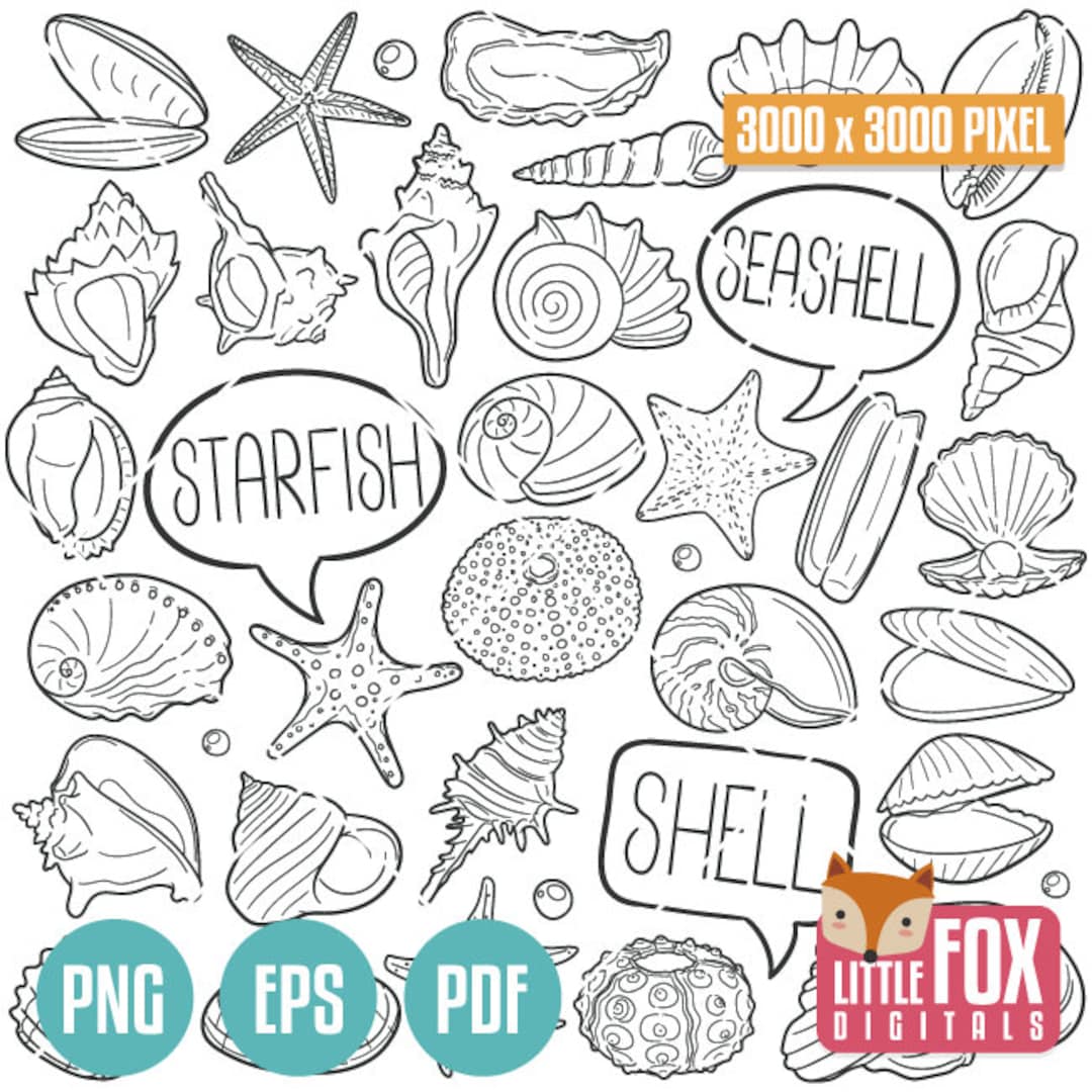 SEASHELL, Doodle Vector Icons. Beach Summer Starfish Doodle Icons ...