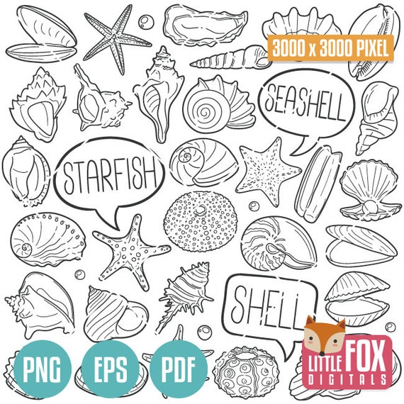 SEASHELL Doodle Vector Icons. Beach Summer Starfish Doodle - Etsy