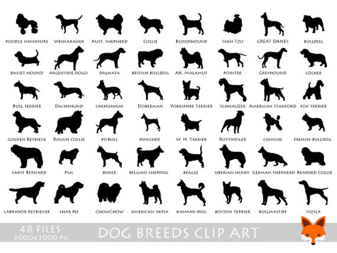DOGS Collection Dog Breeds of World Pet Animal House | Etsy